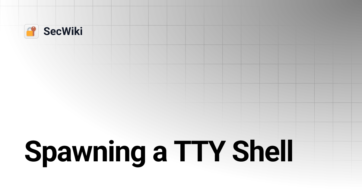 Spawning a TTY Shell | SecWiki
